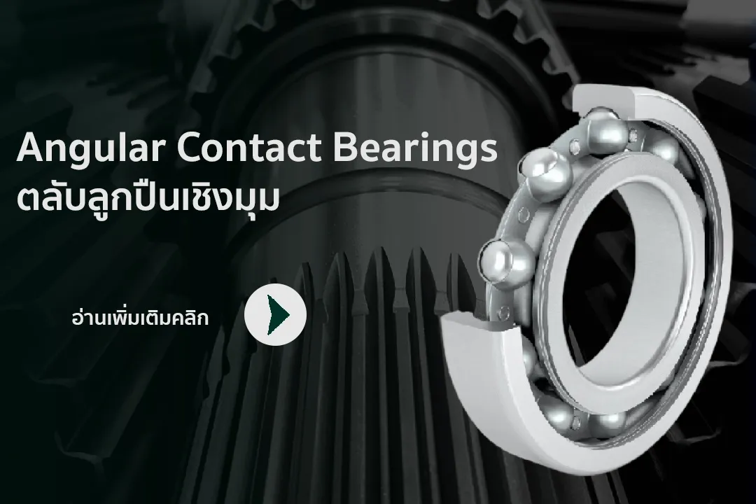 Bearingbuds – จำหน่ายตลับลูปปืน