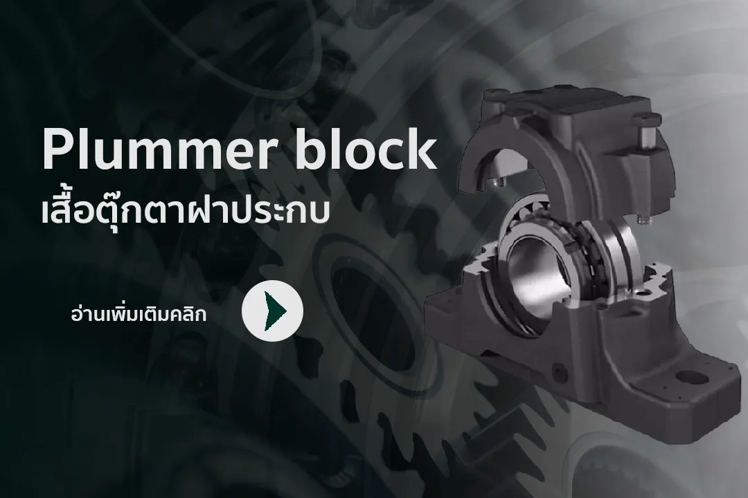 Bearingbuds – จำหน่ายตลับลูปปืน